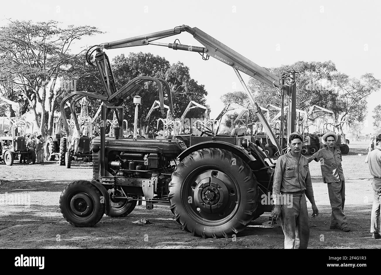 Cane lifters, a tractor or agricultural machine for lifting sugar cane ...