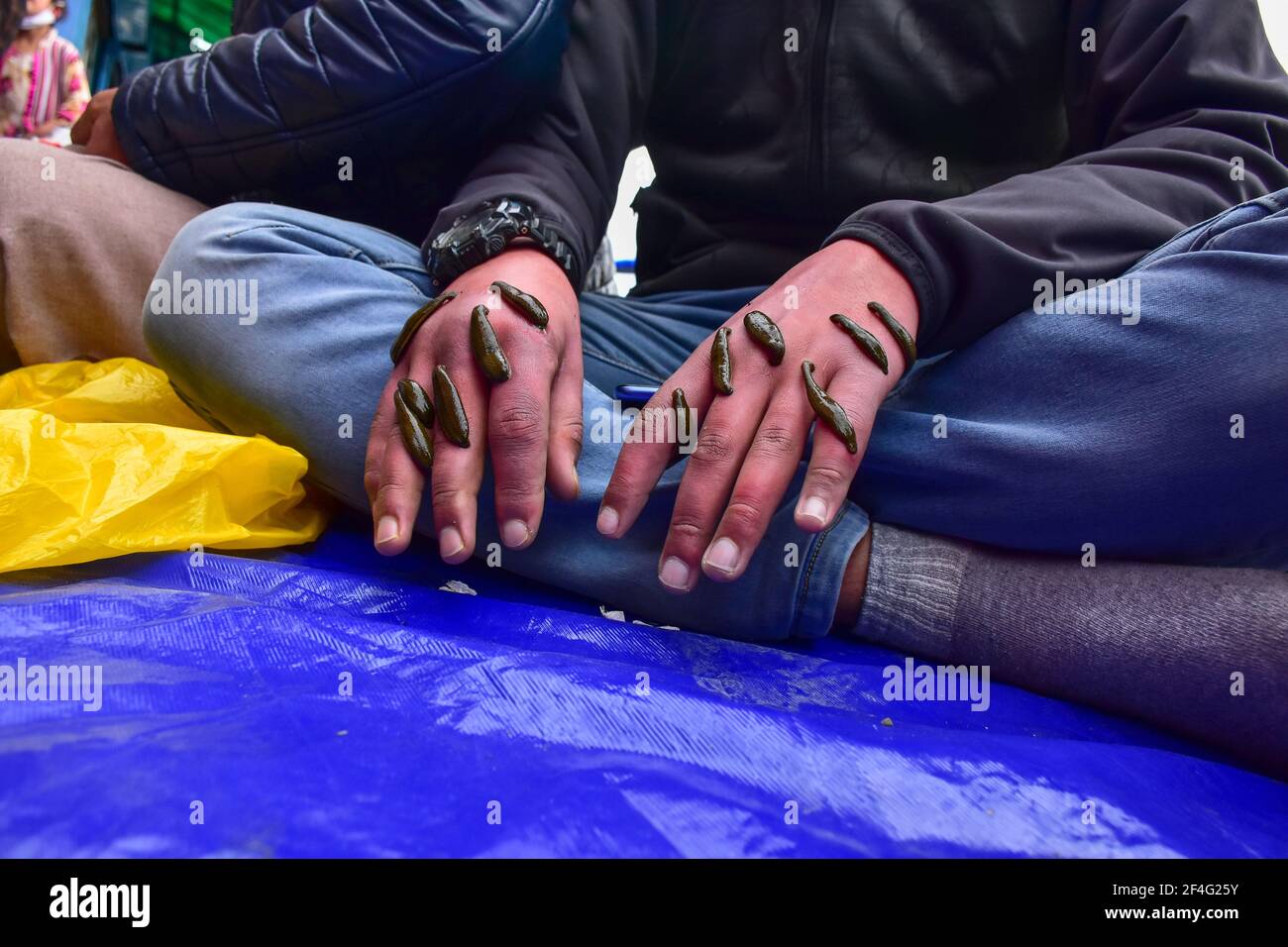 Traditional persian medicine hi-res stock photography and images - Alamy