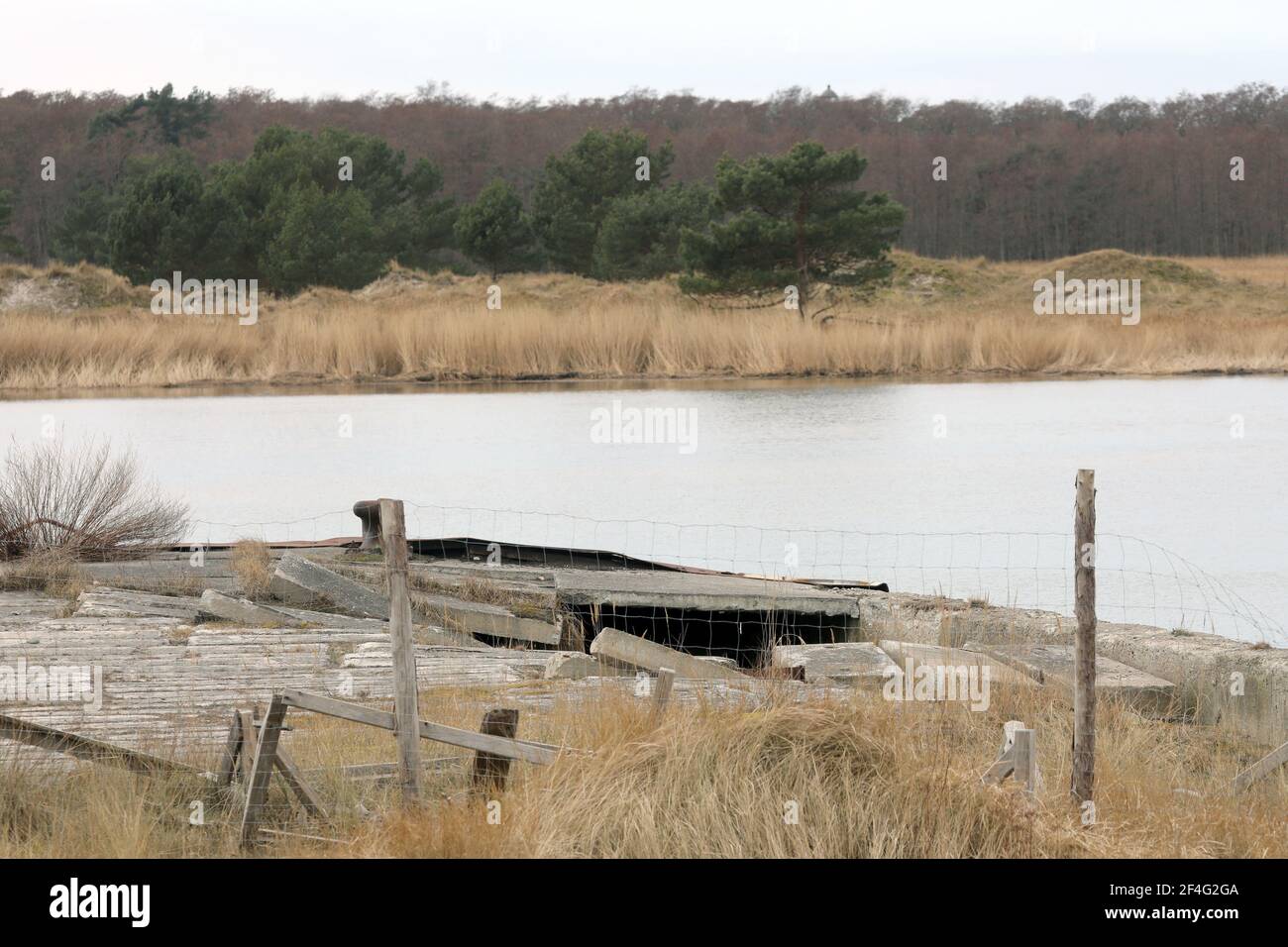 Prerow, Germany. 16th Mar, 2021. The quay edge and the access road to ...
