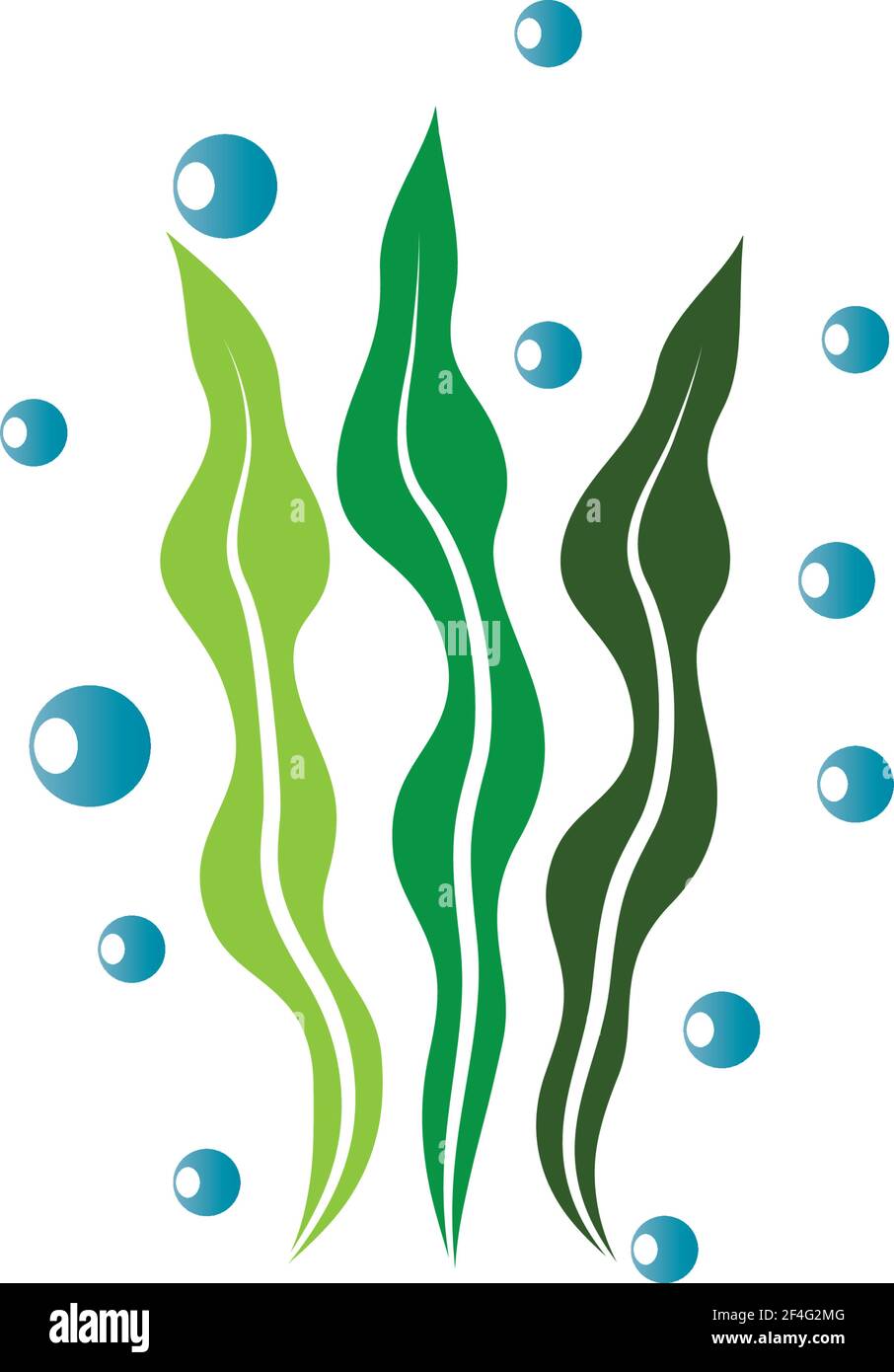 Seaweed logo template vector icon illustration design Stock Vector ...