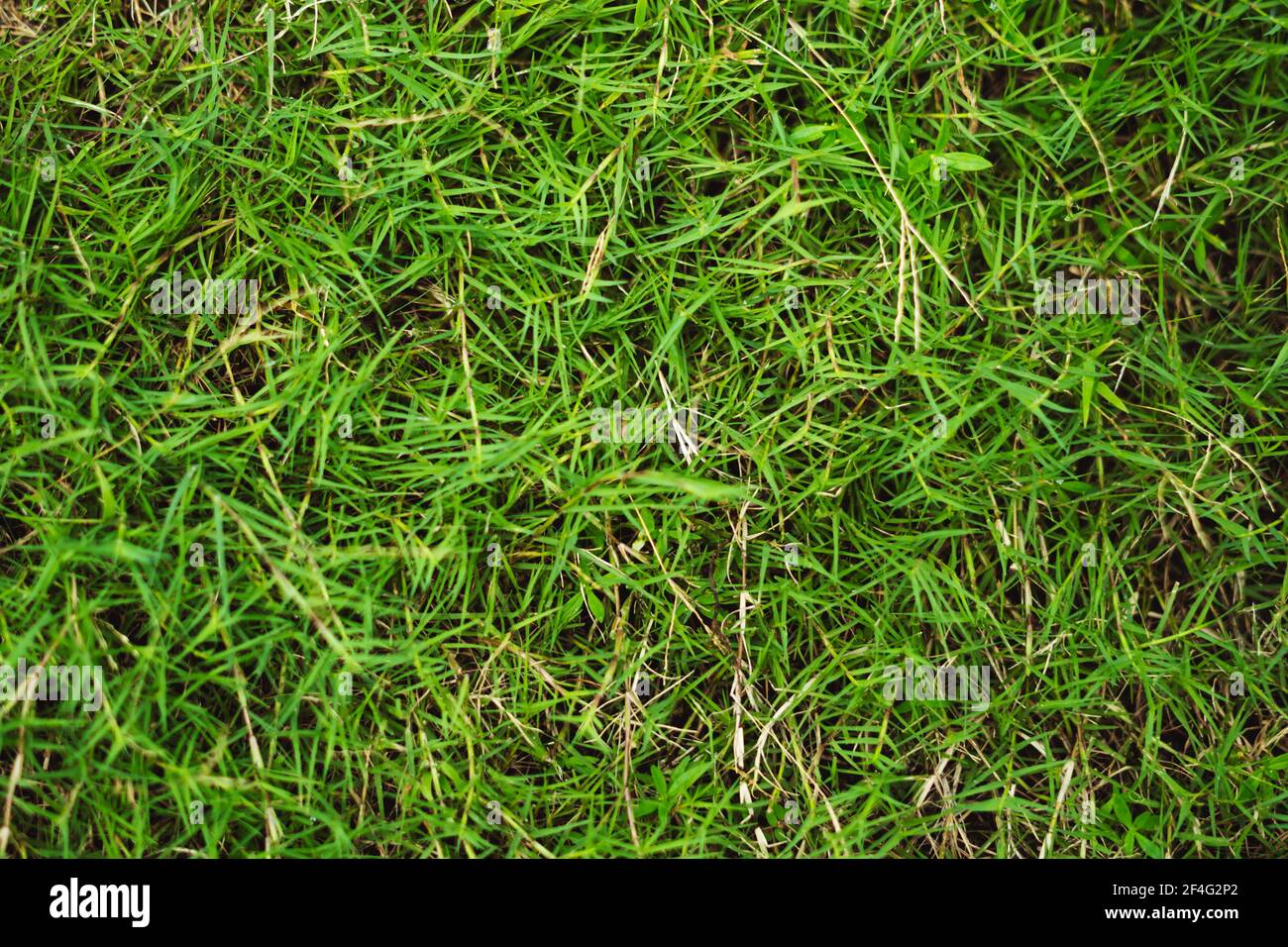 Abstract natural background. Collection with different colour tones of ...