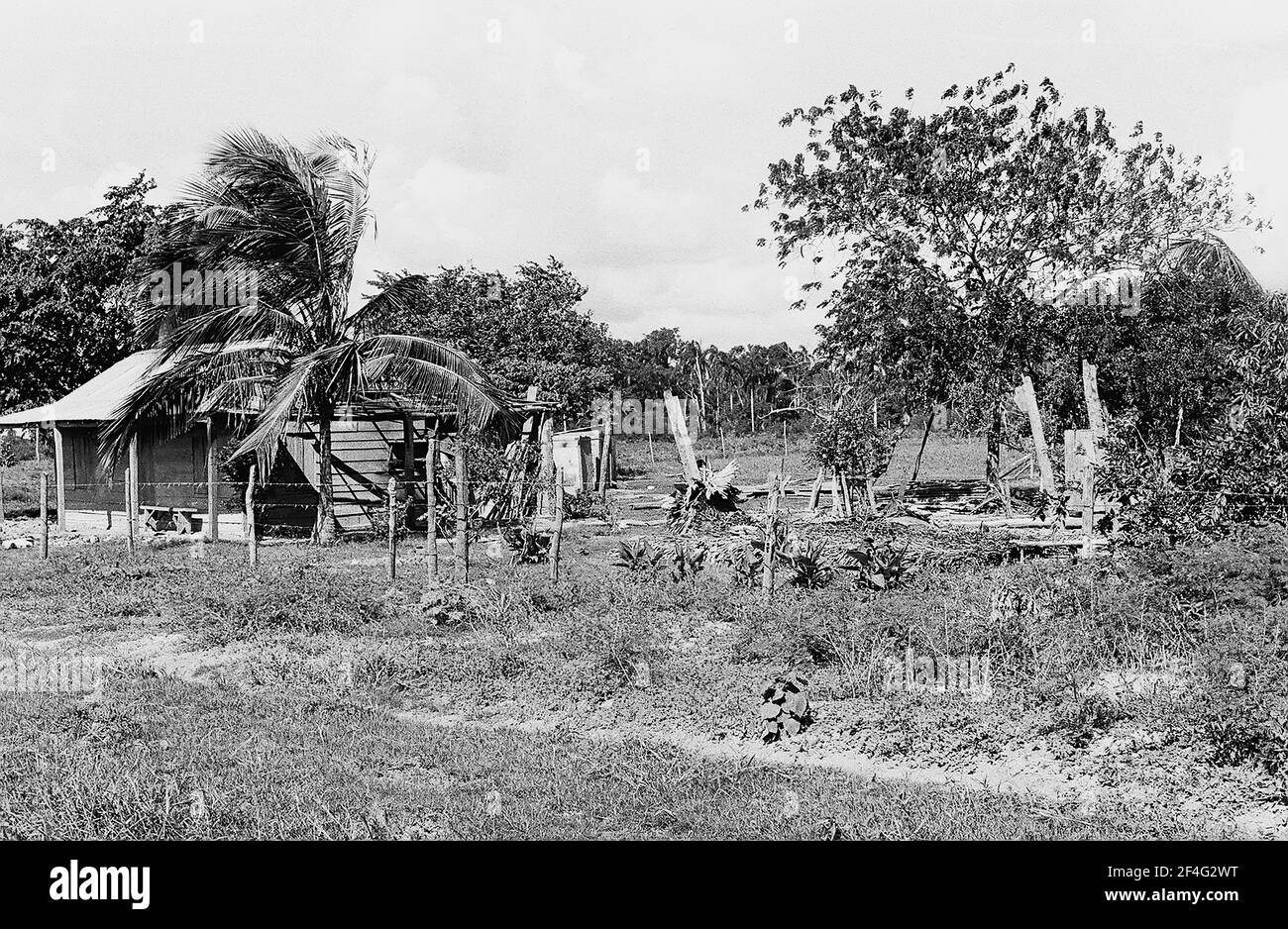 Building in a field showing damage following Hurricane Flora, in ...