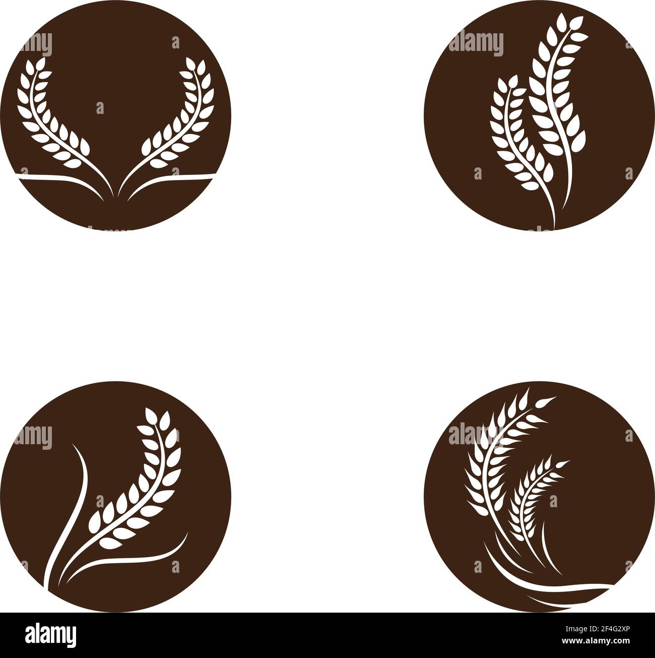 Wheat vector icon illustration design Stock Vector Image & Art - Alamy