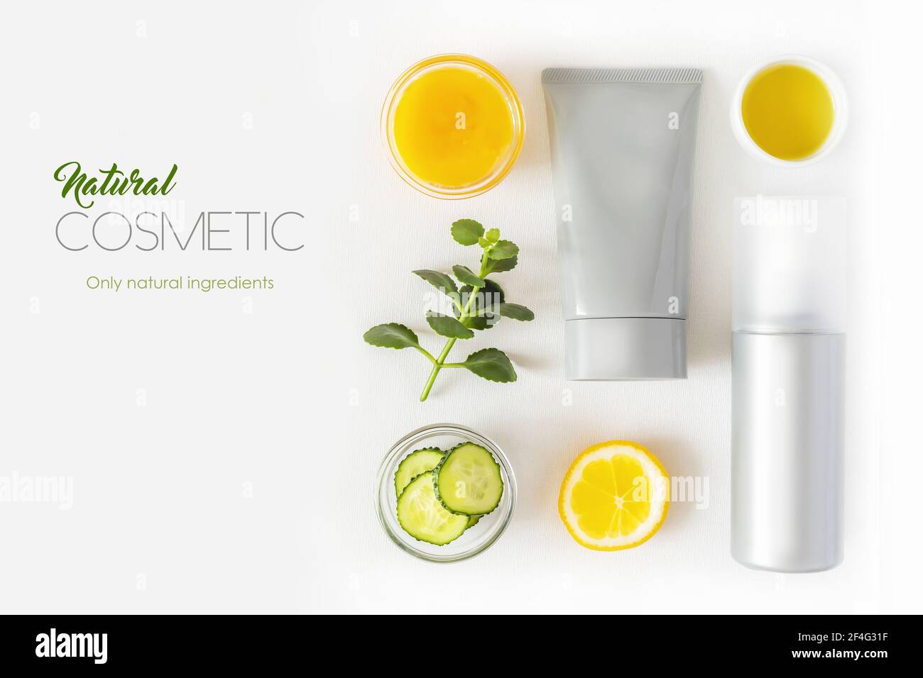 Natural skin care products. Composition of mock up for cosmetics based ...