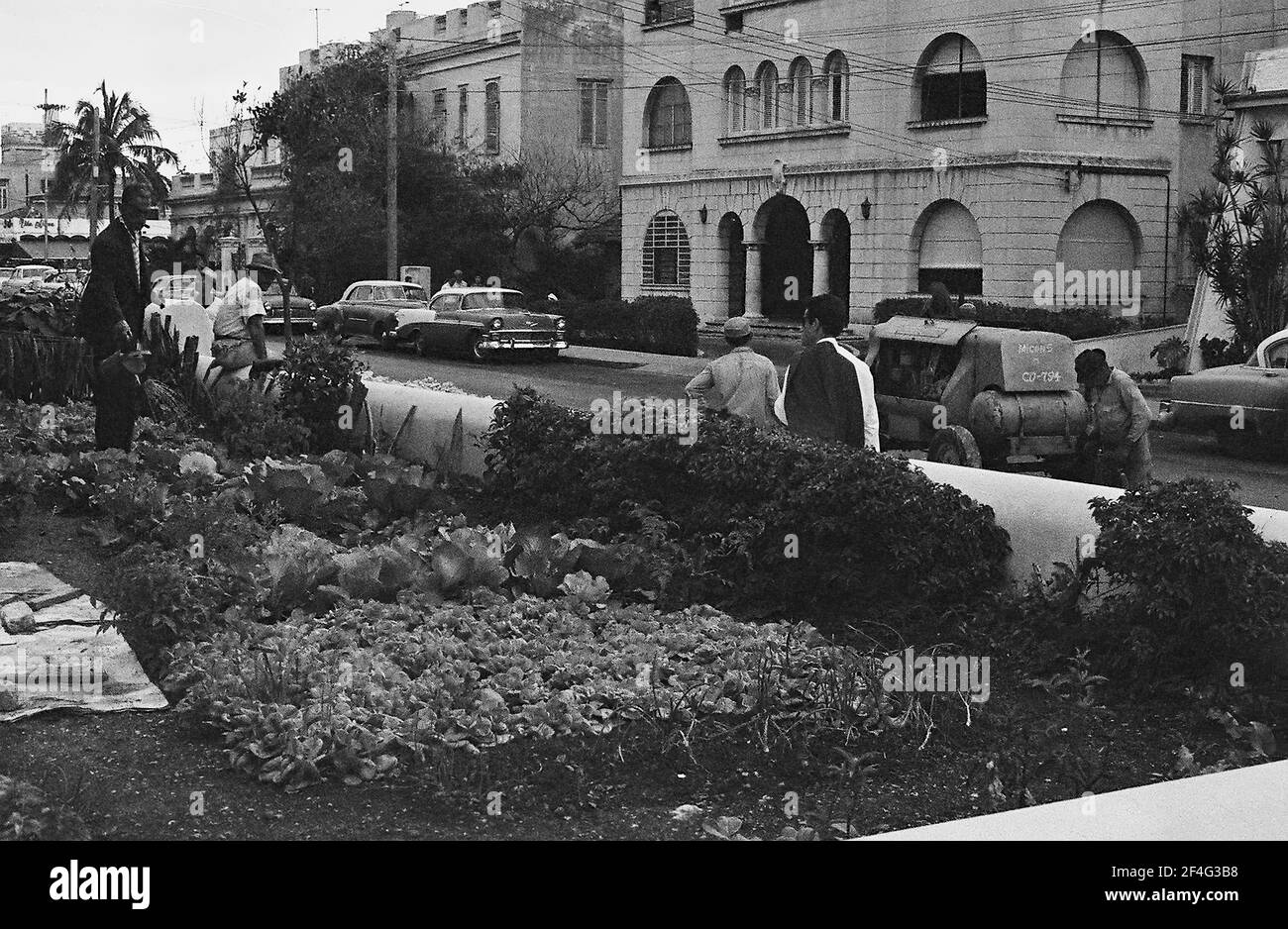 Luxury mansion garden Black and White Stock Photos & Images - Alamy