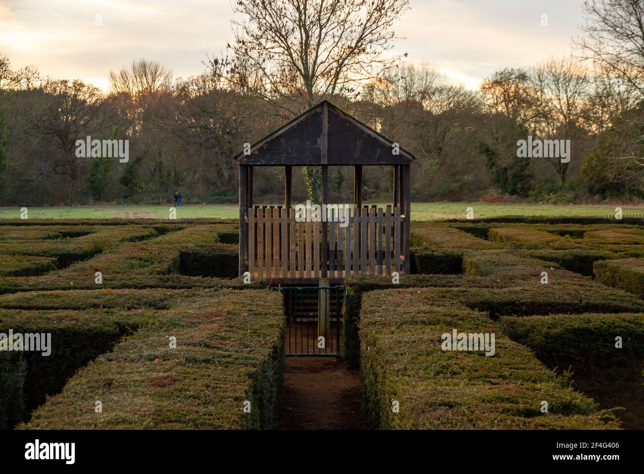 Natural maze hi-res stock photography and images - Alamy