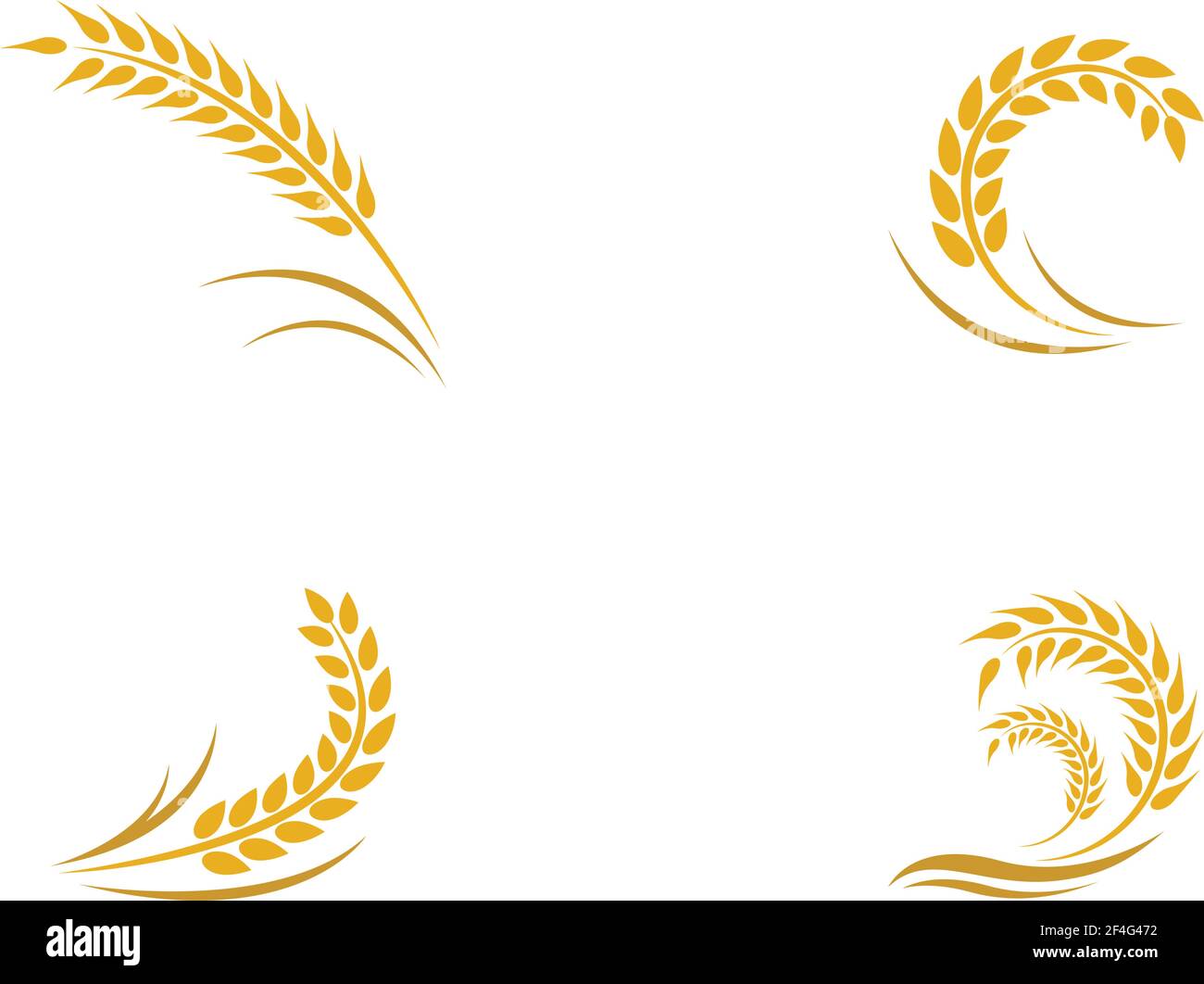Wheat logo template vector icon illustration Stock Vector Image & Art ...