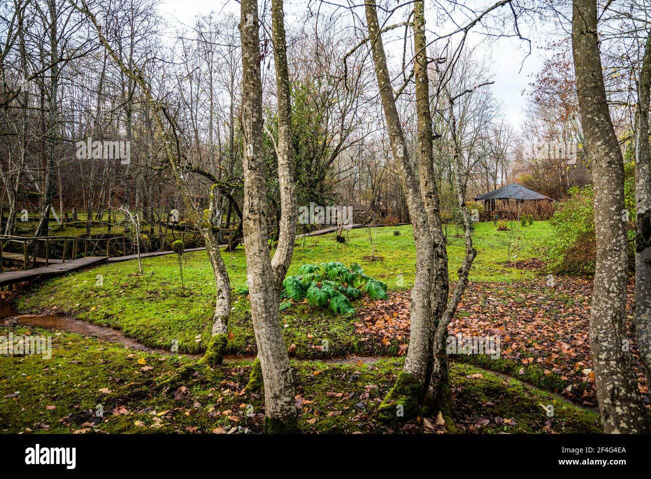 Waterfalls of Ieriku nature park at old watermill in the forest. It's a ...