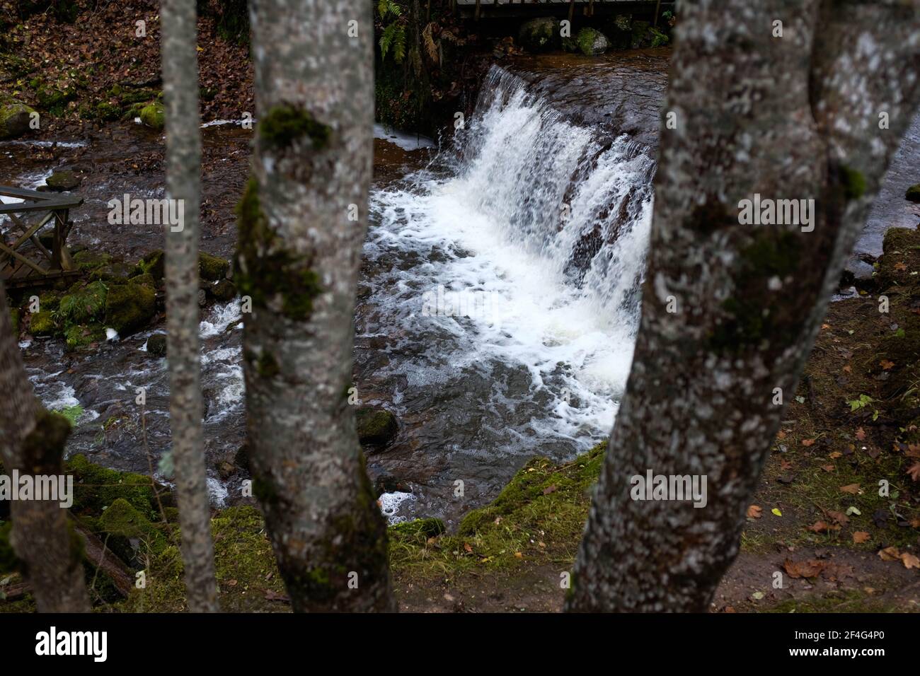 Waterfalls of Ieriku nature park at old watermill in the forest. It's a ...