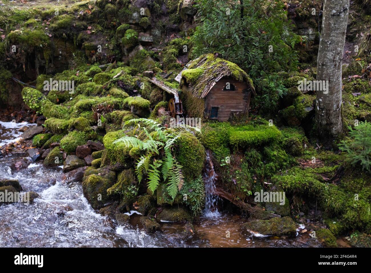 Waterfalls of Ieriku nature park at old watermill in the forest. It's a ...