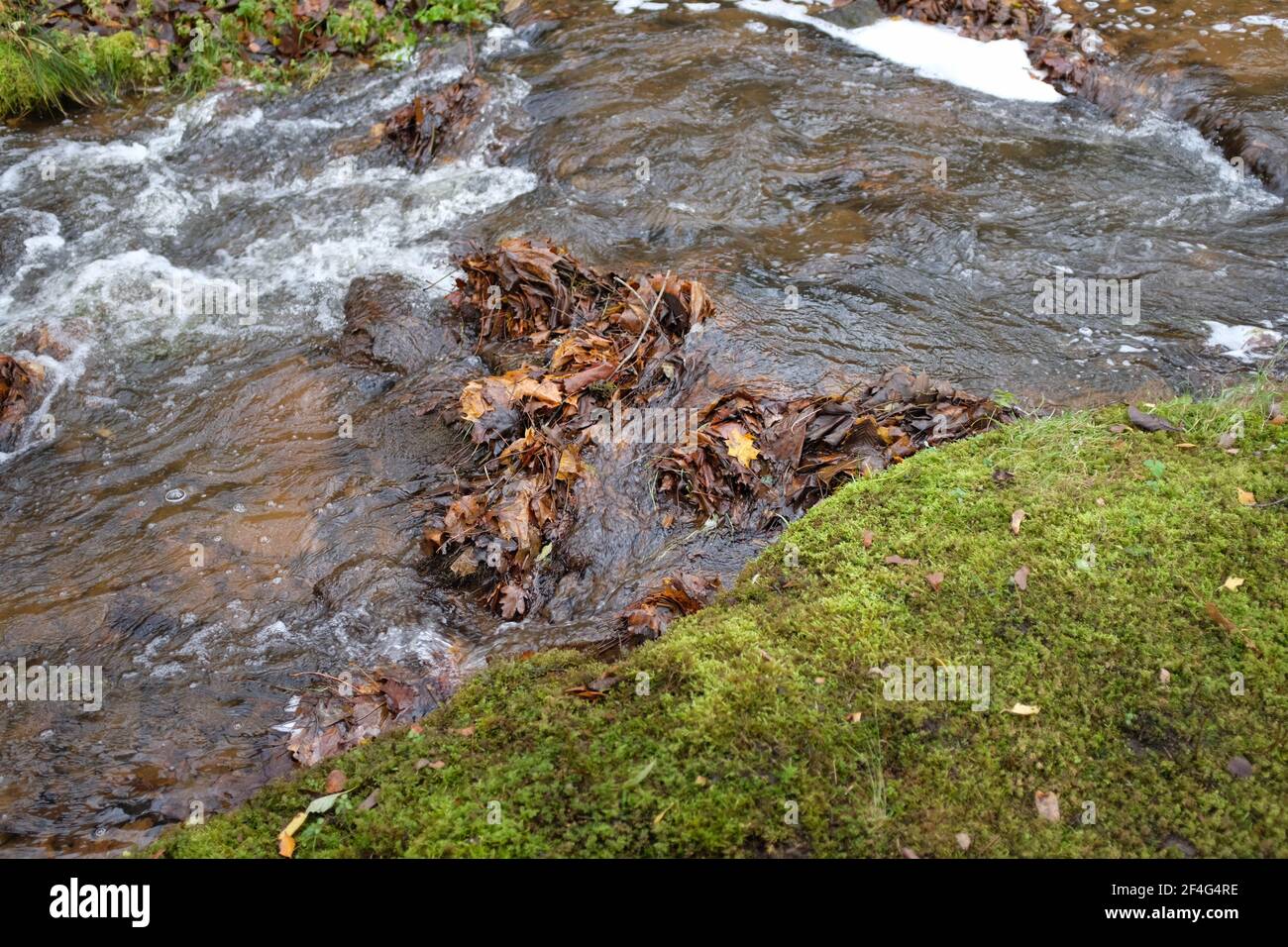 Waterfalls of Ieriku nature park at old watermill in the forest. It's a ...