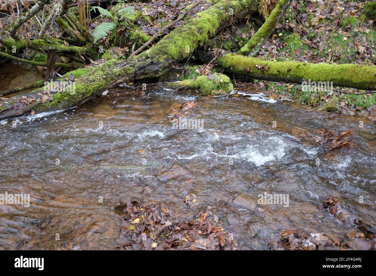 Waterfalls of Ieriku nature park at old watermill in the forest. It's a ...