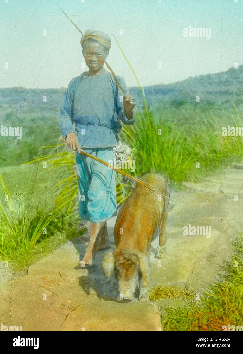 Dirt path with sticks hi-res stock photography and images - Alamy