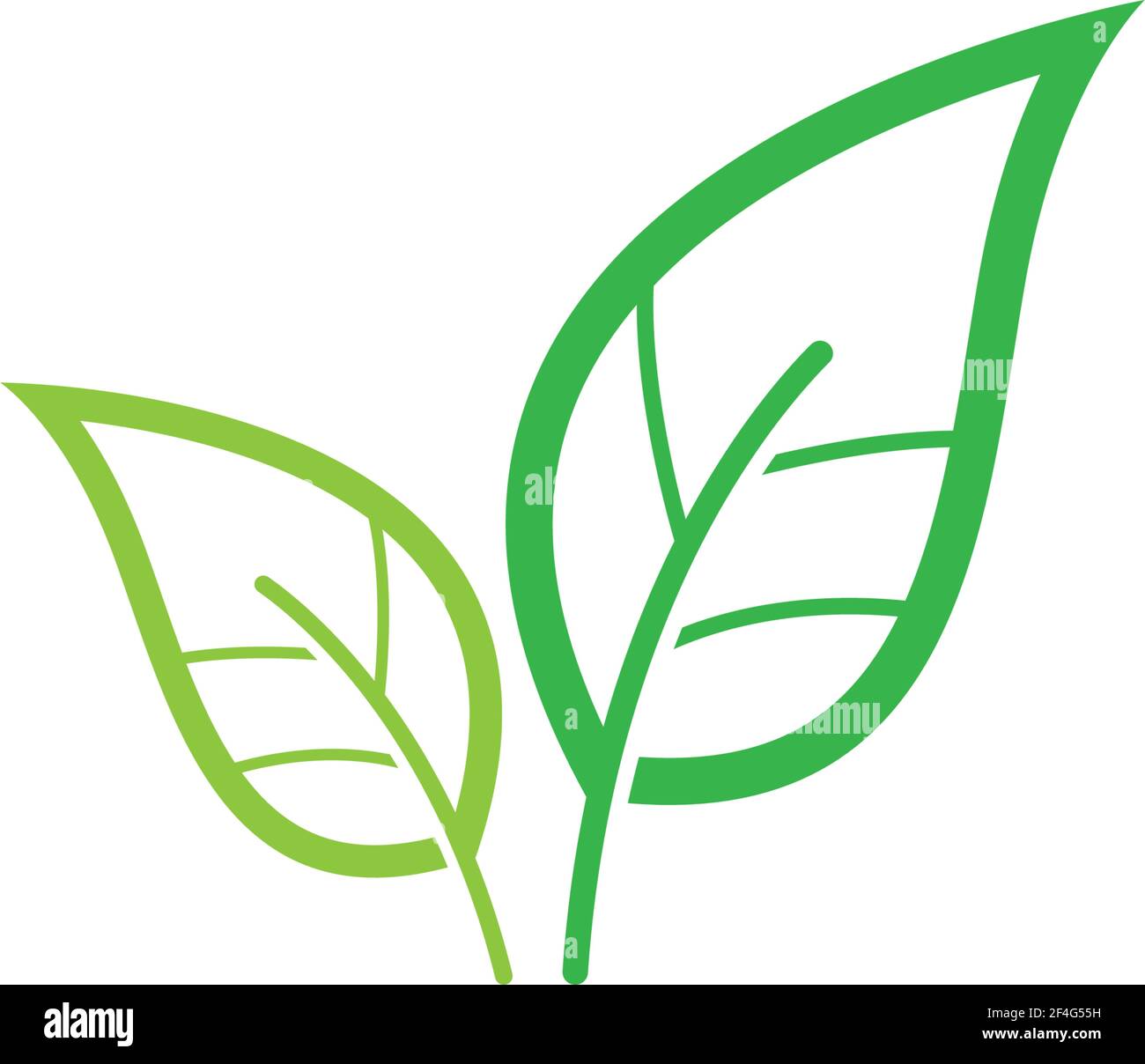 Leaf logo vector icon illustration Stock Vector Image & Art - Alamy