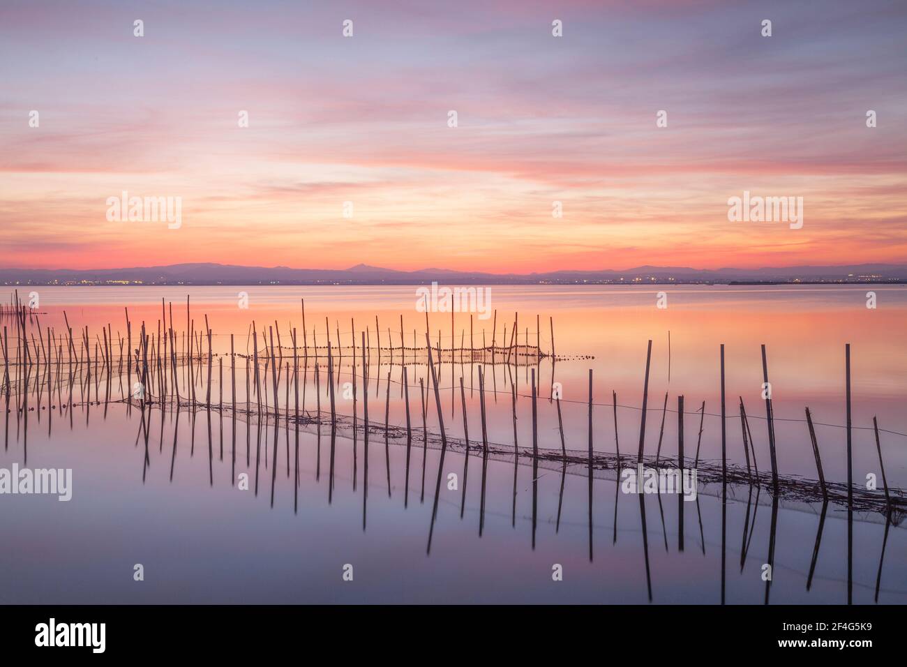 Lake of albufera hi-res stock photography and images - Alamy