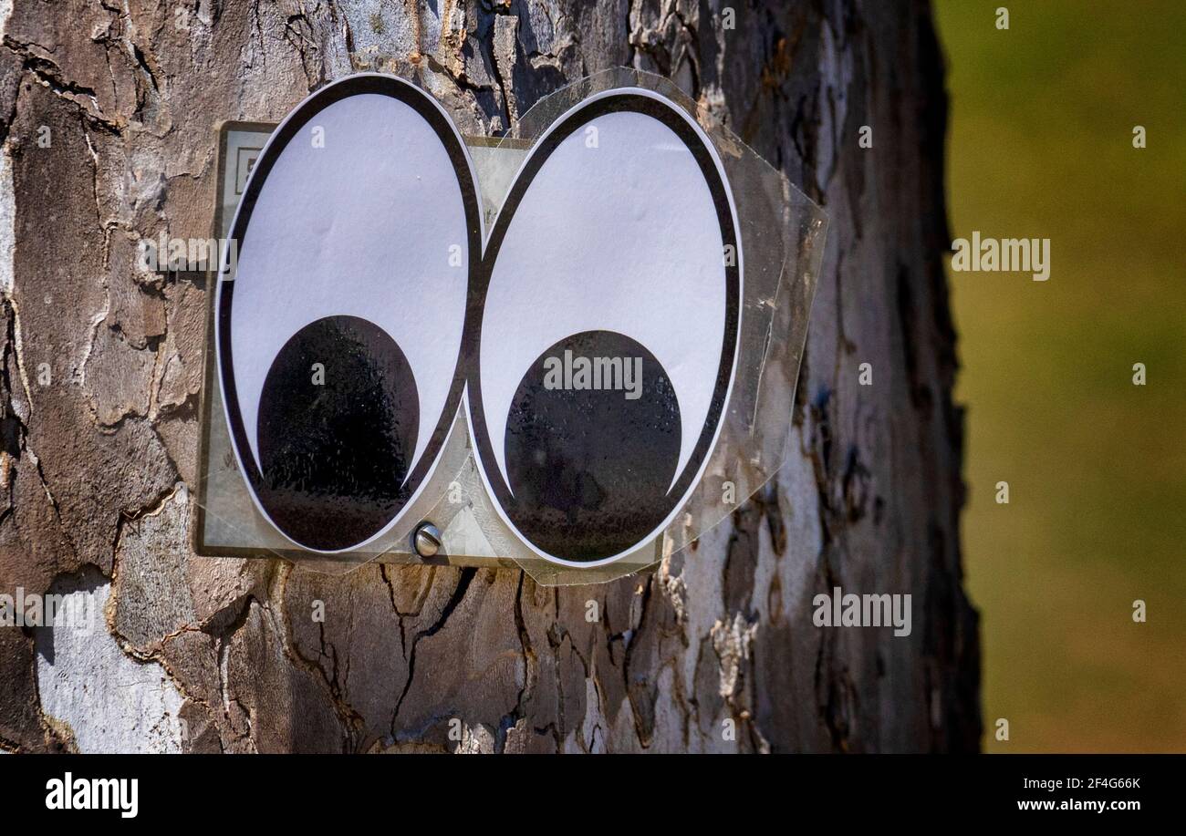 Googly eyed hi-res stock photography and images - Alamy