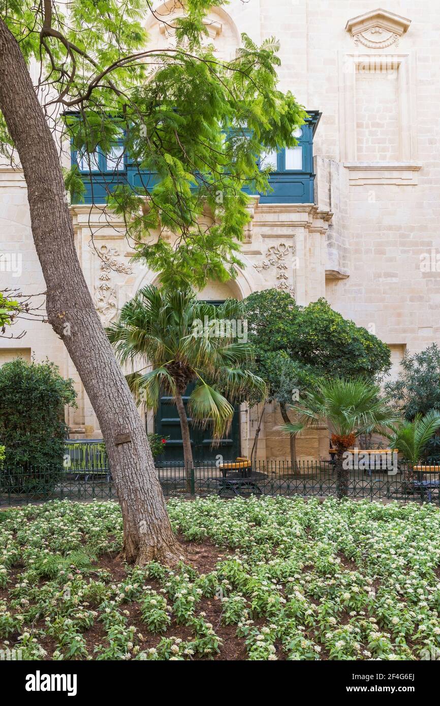 Tree underplanted with white flowers, Garden of the Grand Masters ...