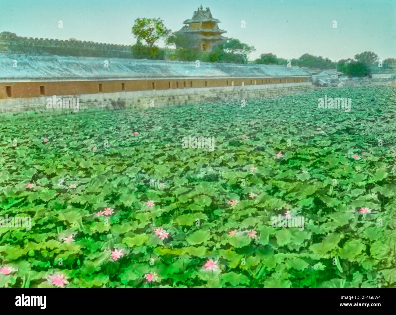 Section of the moat hi-res stock photography and images - Alamy