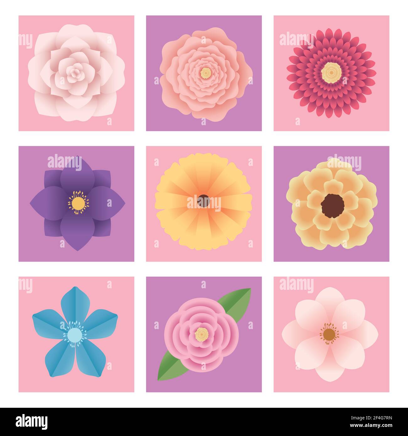 Nine plants Stock Vector Images - Alamy