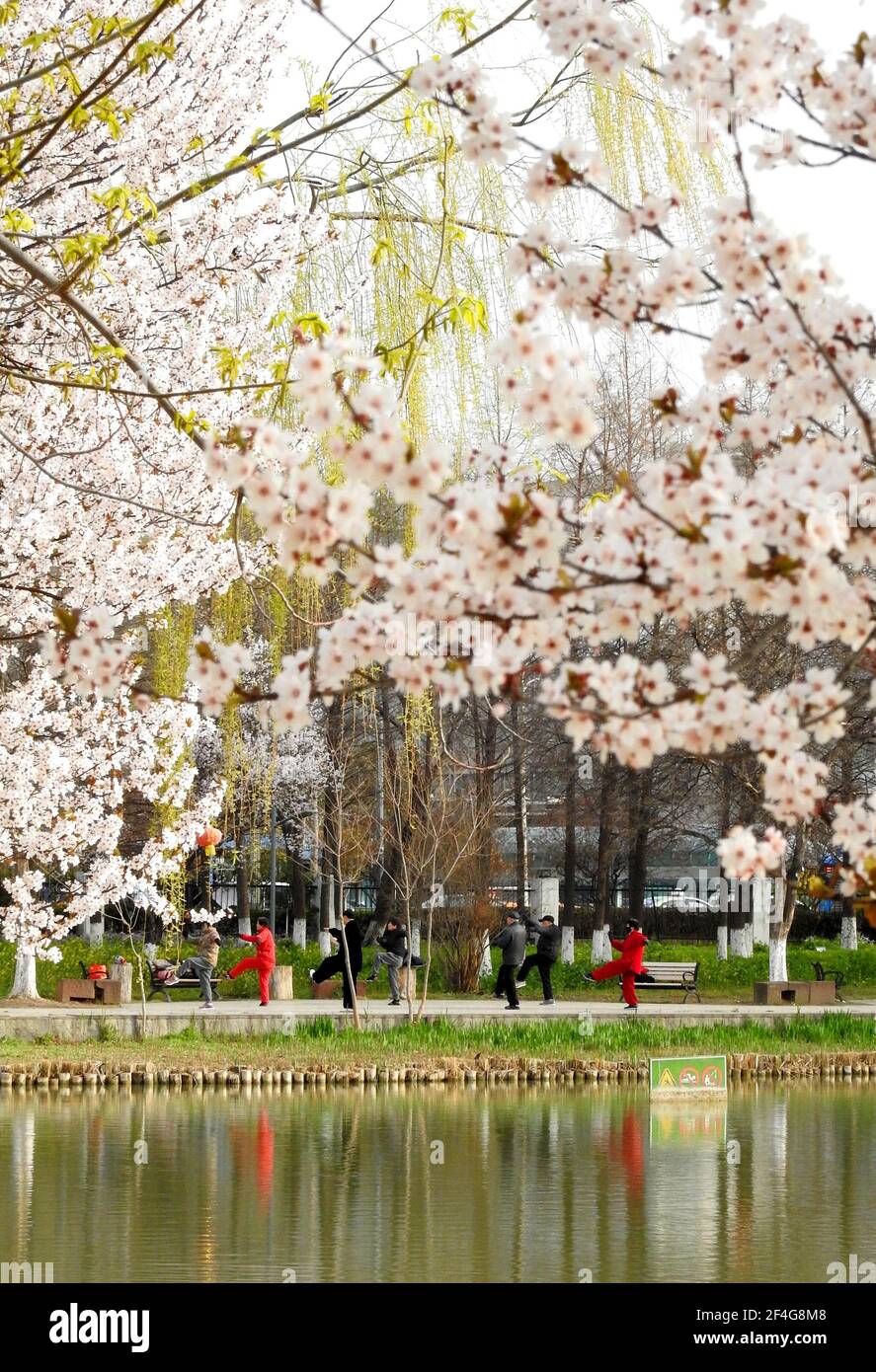 Lianyungang, China's Jiangsu Province. 21st Mar, 2021. Residents ...