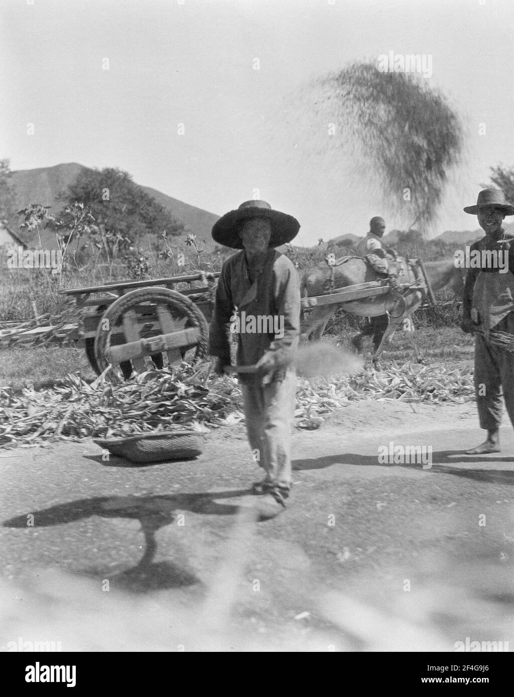 Winnowing, China, Rehe Sheng (China), Hebei Sheng (China), 1924. From ...