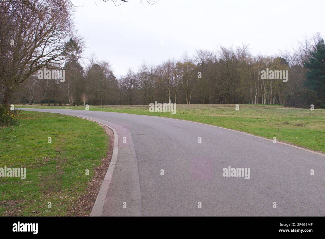Country road leading round bend with grass and trees to either side ...