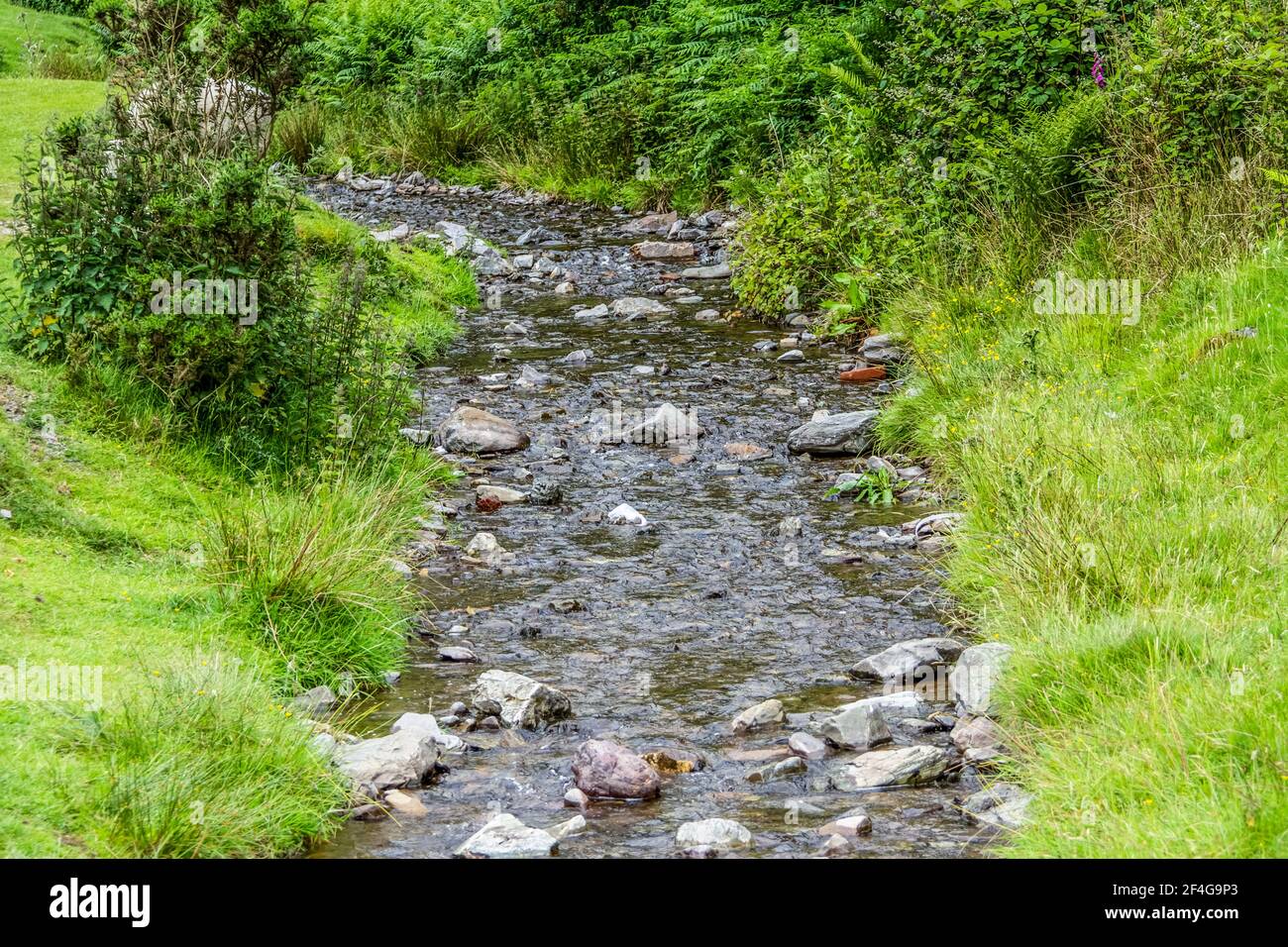 River rock rocks texture stream water background clear beautiful hi-res ...