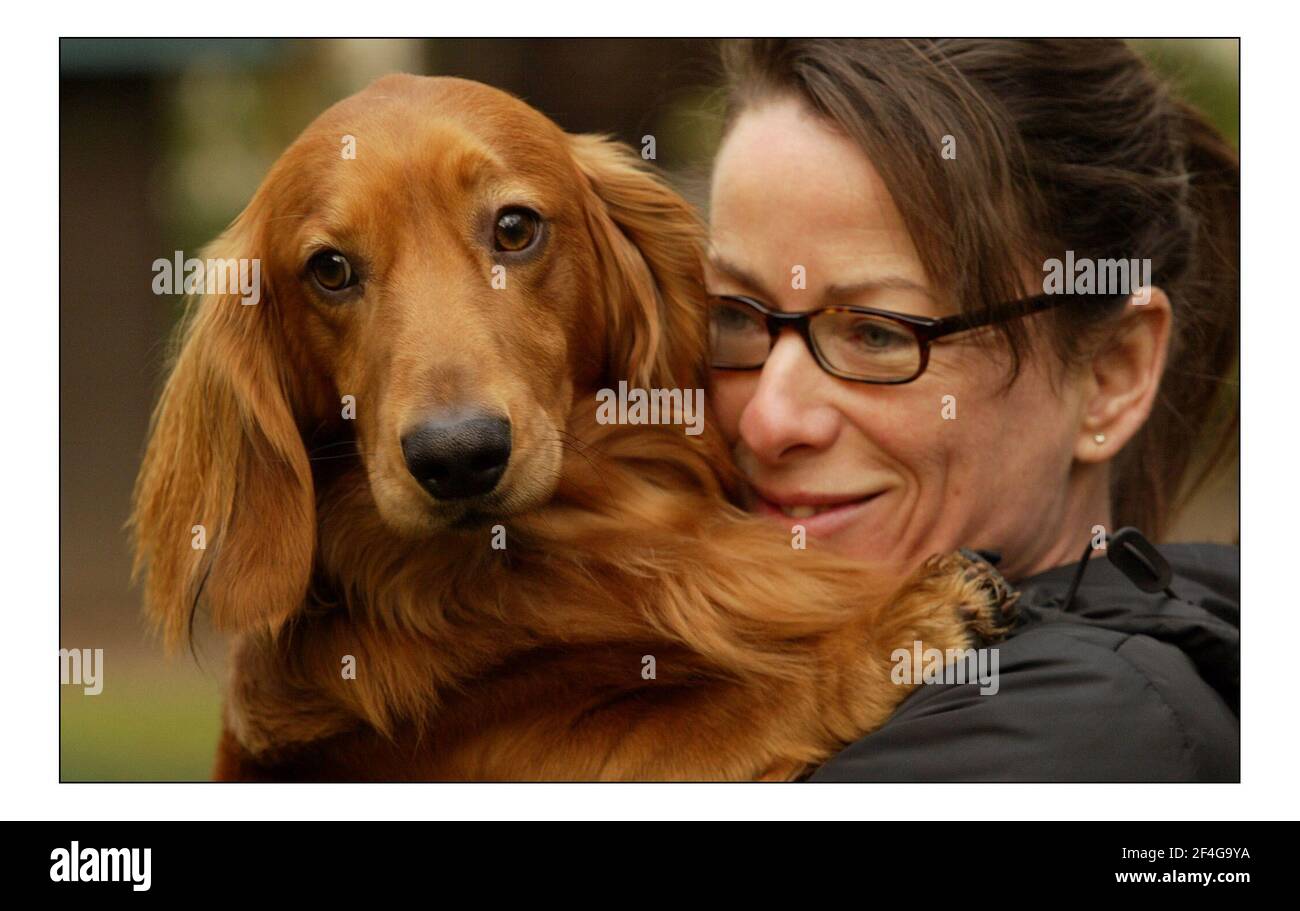 Preparing for the ring Rovi Kelner (dachshund) with Mrs Kelner.pic ...