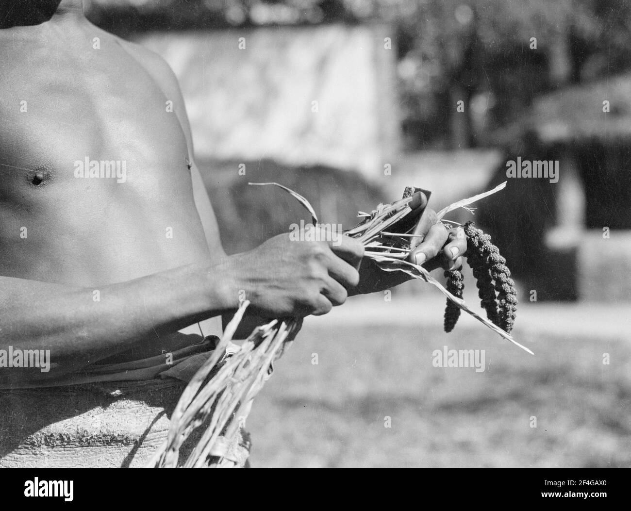 Millet china hi-res stock photography and images - Alamy