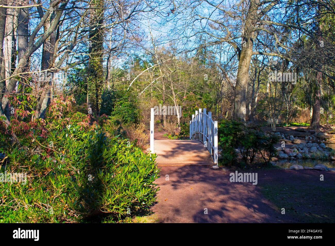 Hamilton bridge hi-res stock photography and images - Alamy