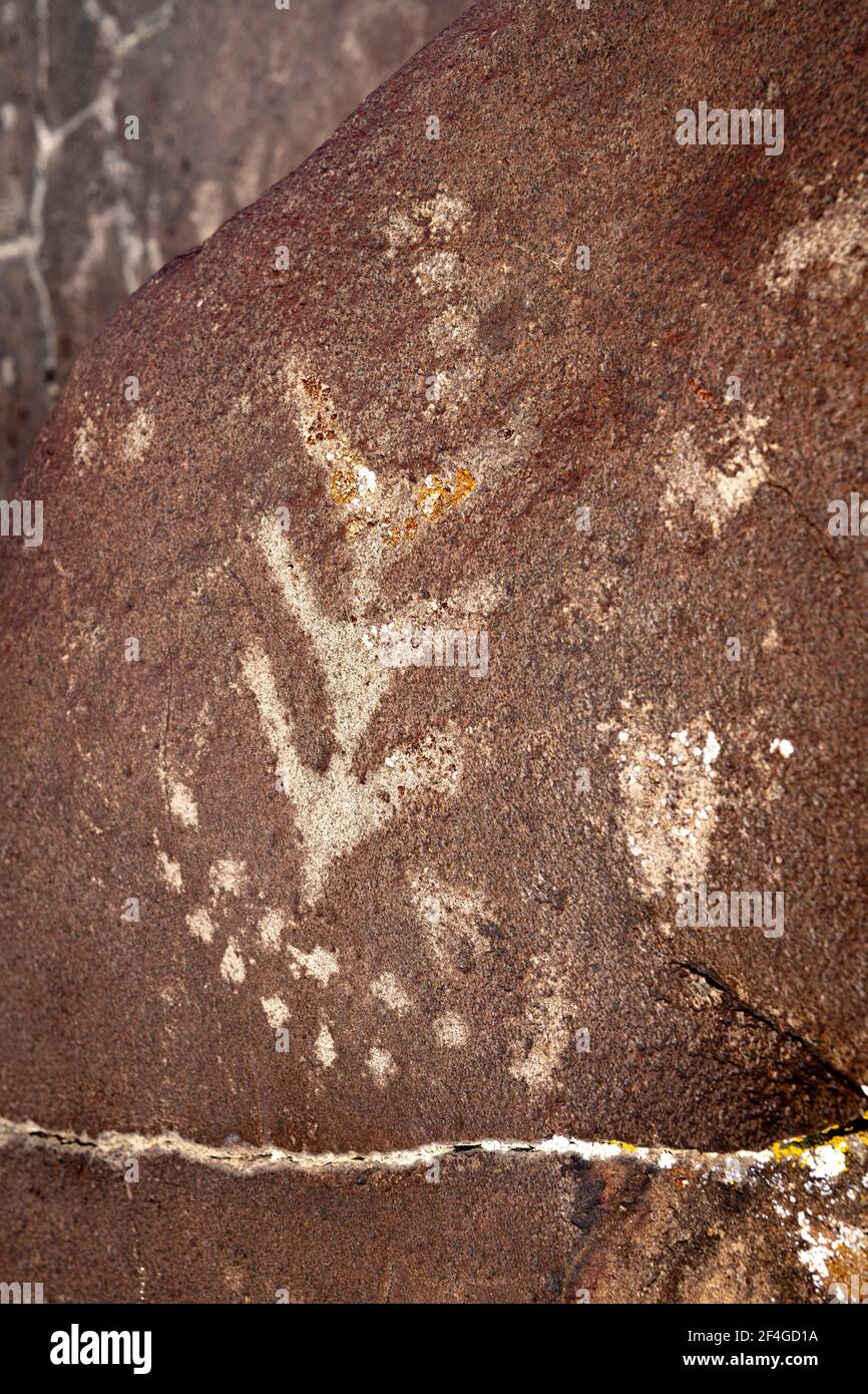 Indian petroglyph hi-res stock photography and images - Alamy