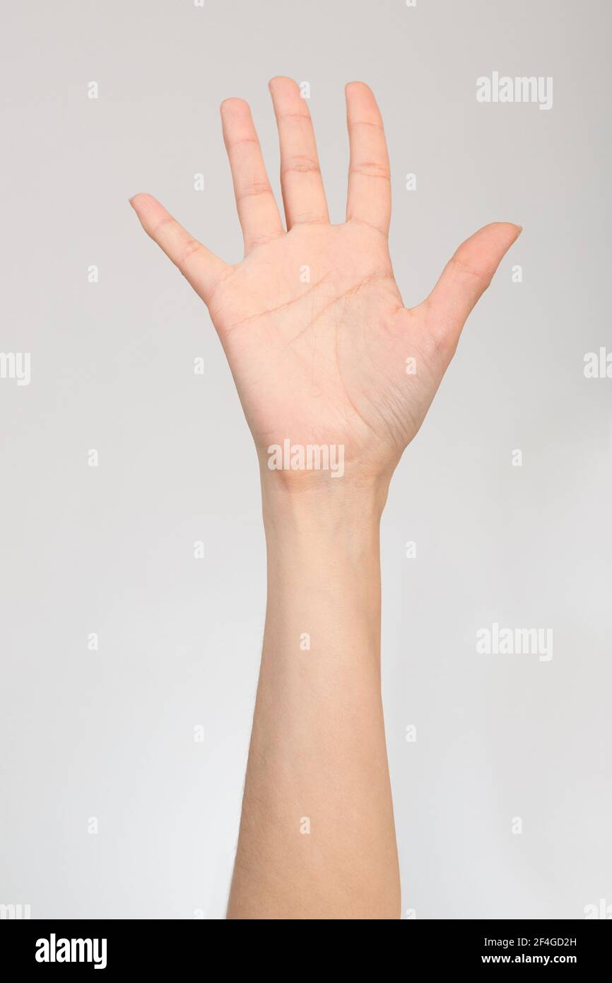 Open palm gesture isolated on white background Stock Photo - Alamy