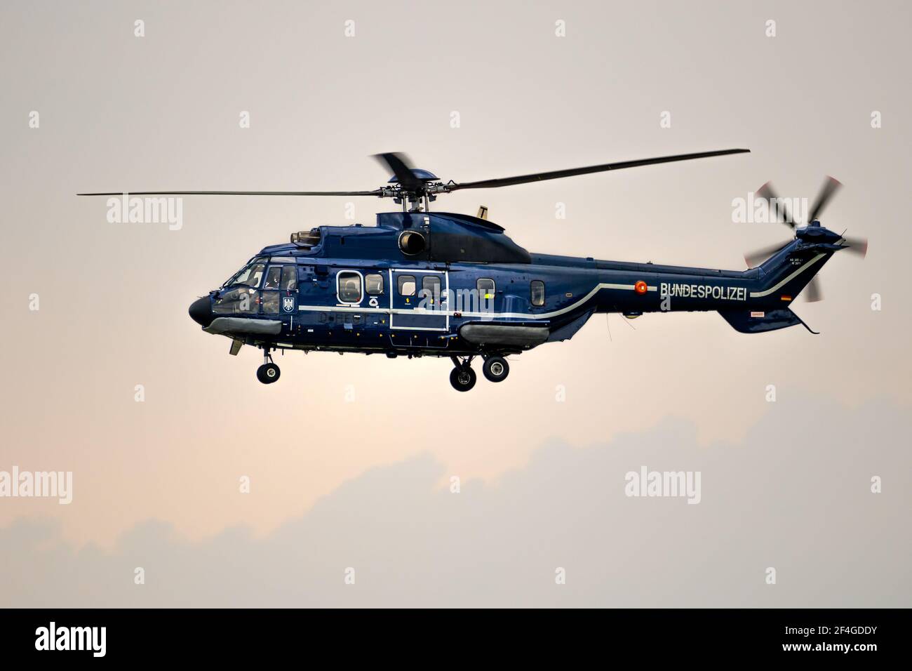 German Federal Police (Bundespolizei) Eurocopter AS332 Super Puma helicopter in flight. Germany ...