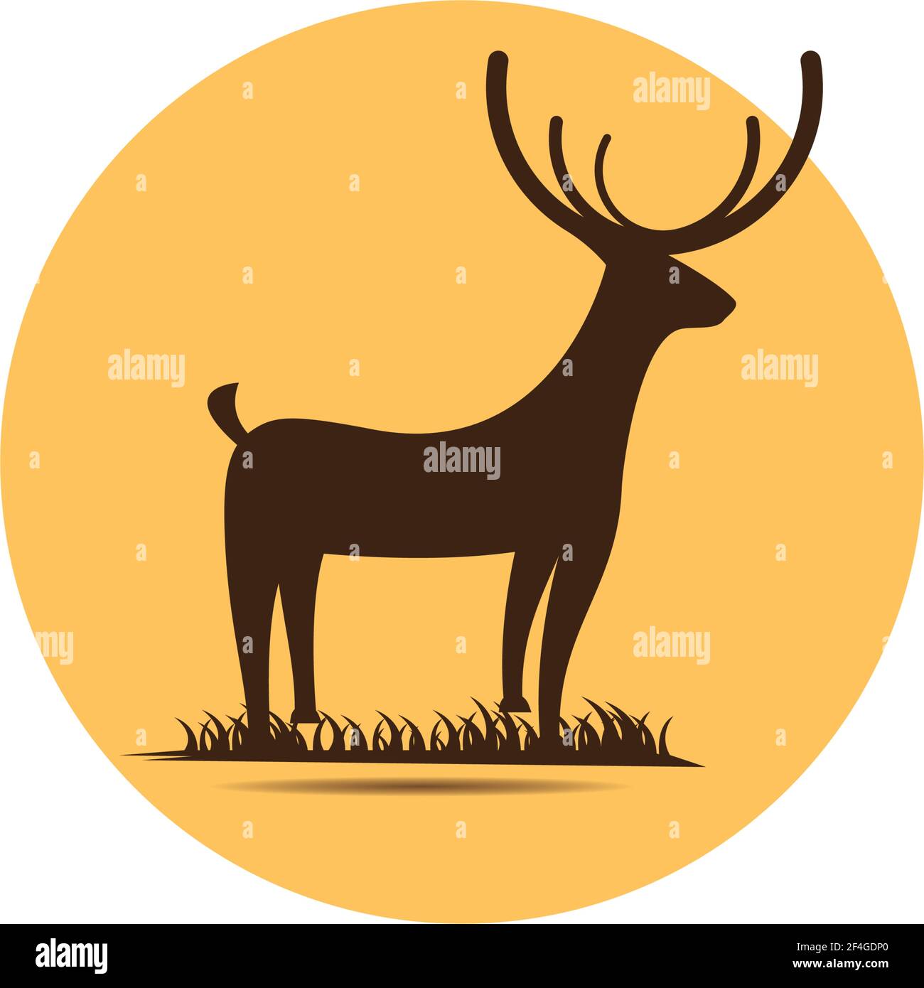 Deer logo vector illustraation design Stock Vector Image & Art - Alamy