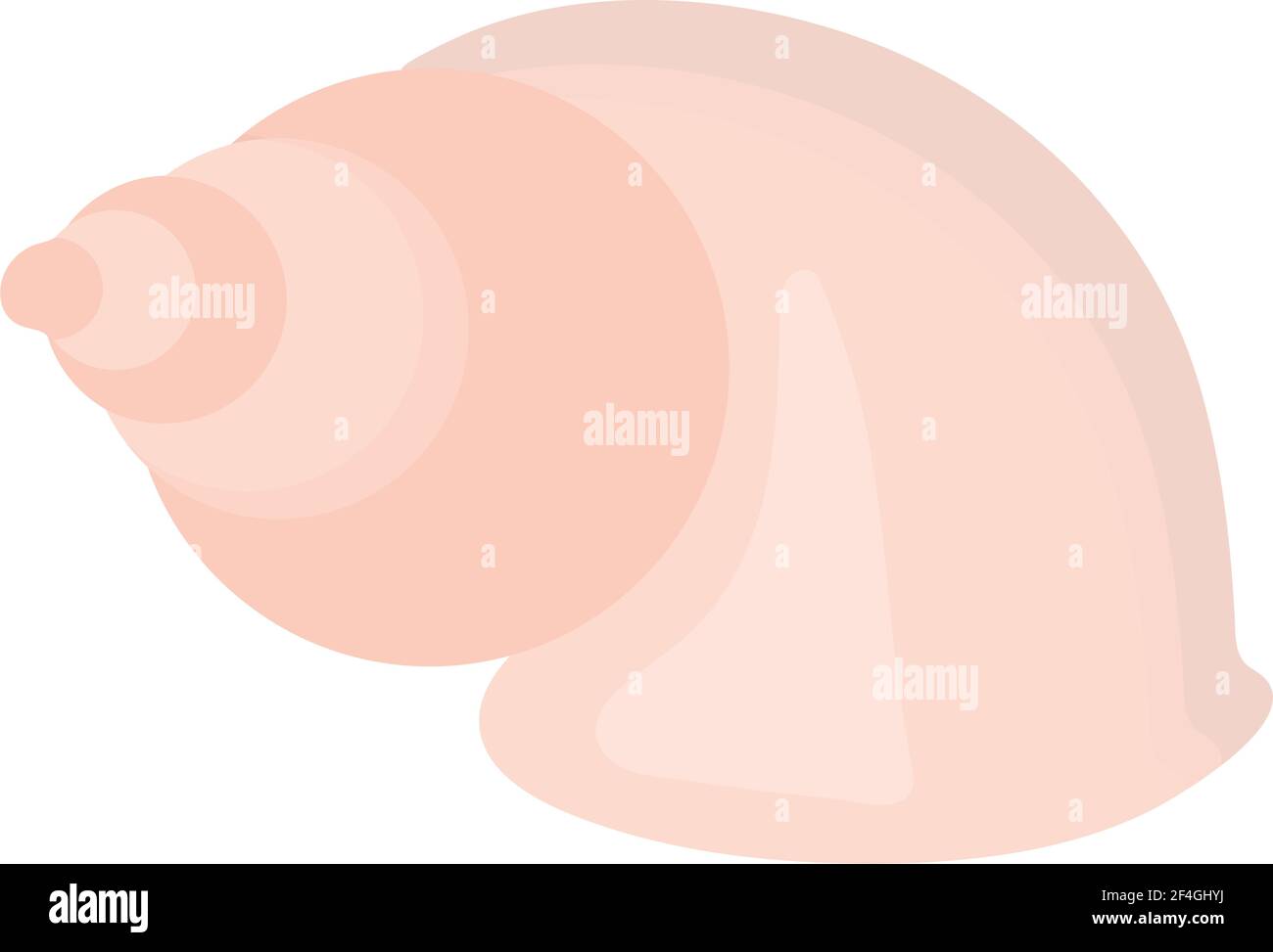 Pink clam Stock Vector Images - Alamy