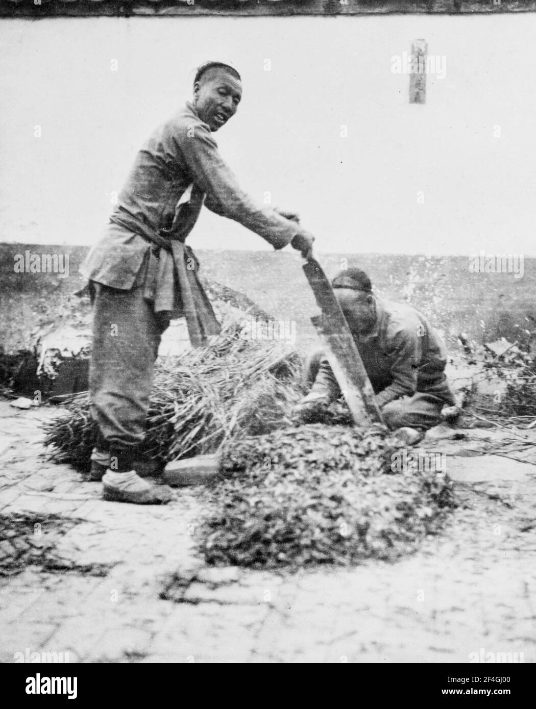 Two men cutting, China, 1919. From the Sidney D. Gamble photographs ...