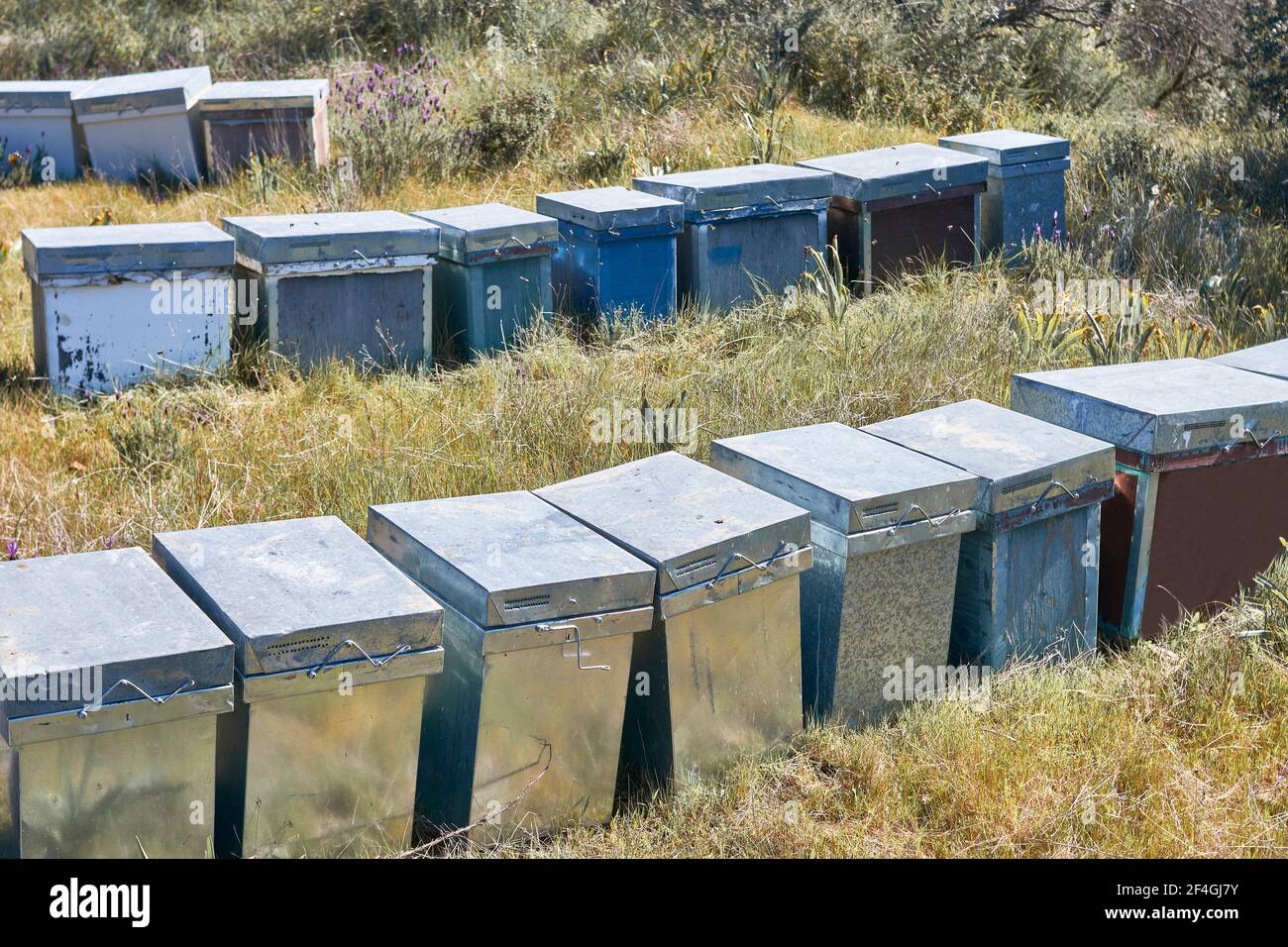 Beehive panels hi-res stock photography and images - Alamy