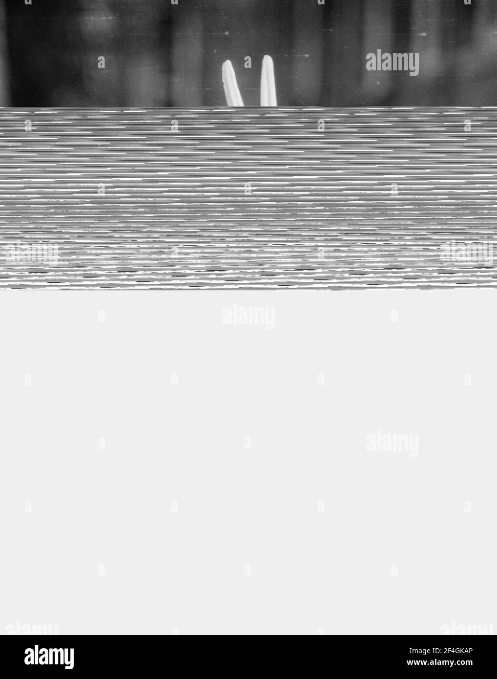 Rabbit gods hi-res stock photography and images - Alamy