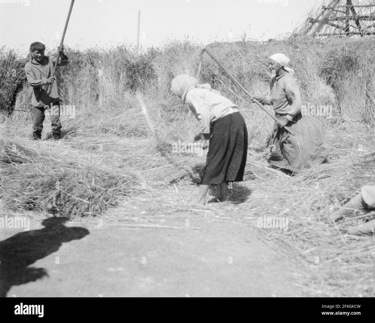 Three flailing, closeup, Russia,1931. From the Sidney D. Gamble ...