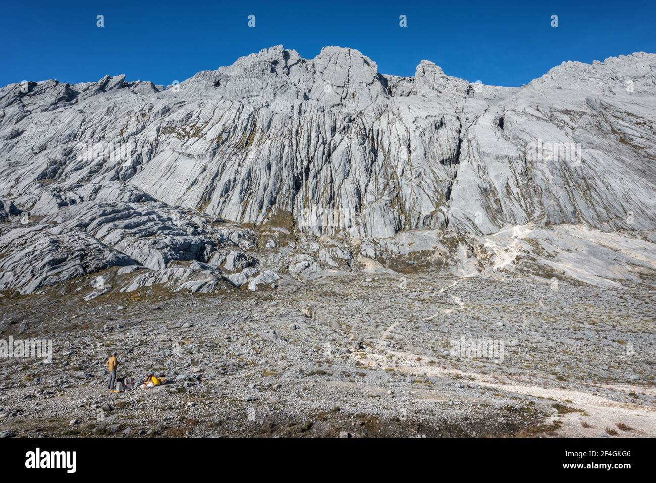 A male climber in the Carstensz Pyramid (Puncak Jaya) high-altitude ...