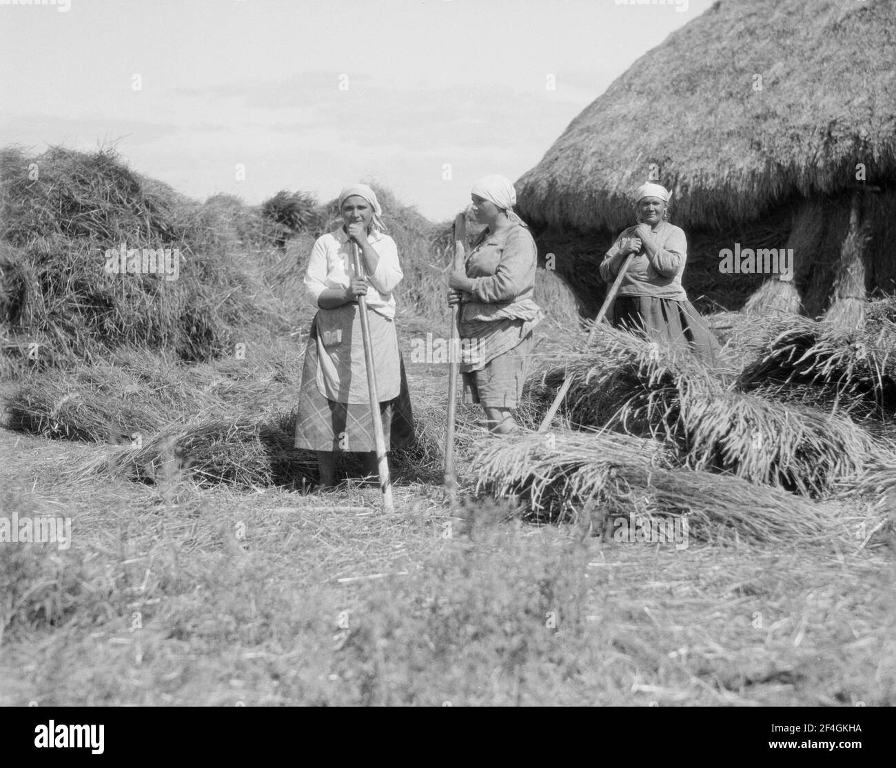 Three women, hay, Russia,1931. From the Sidney D. Gamble photographs ...