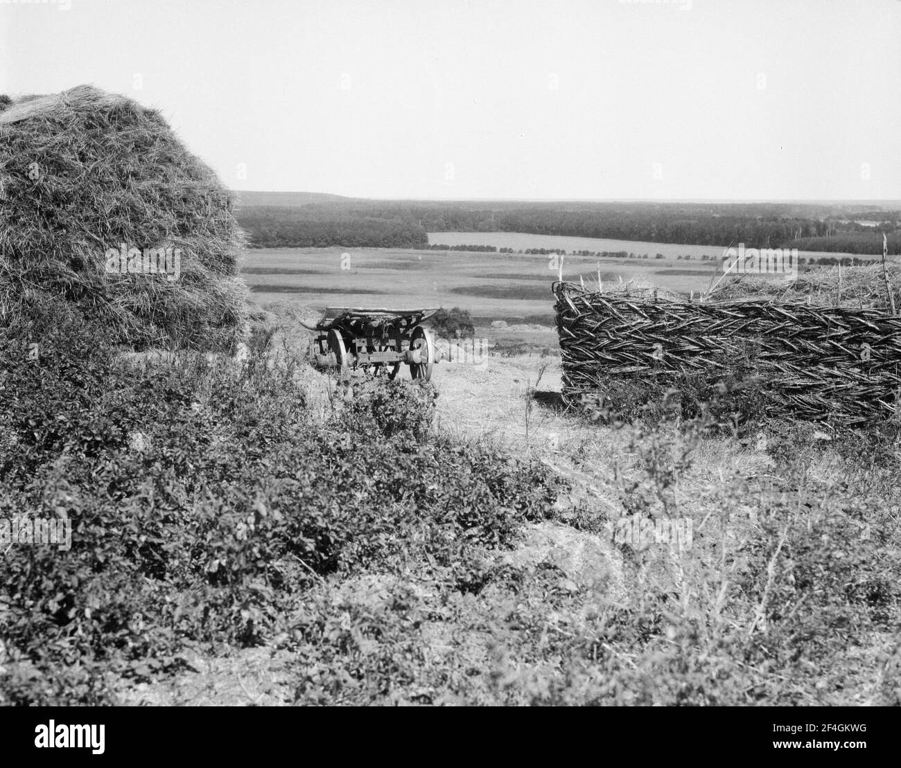 Farmyard, Russia,1931. From the Sidney D. Gamble photographs collection ...