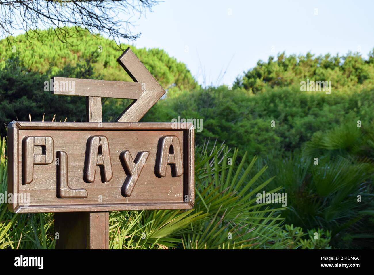 Wooden sign trees tree wood forest hi-res stock photography and images ...