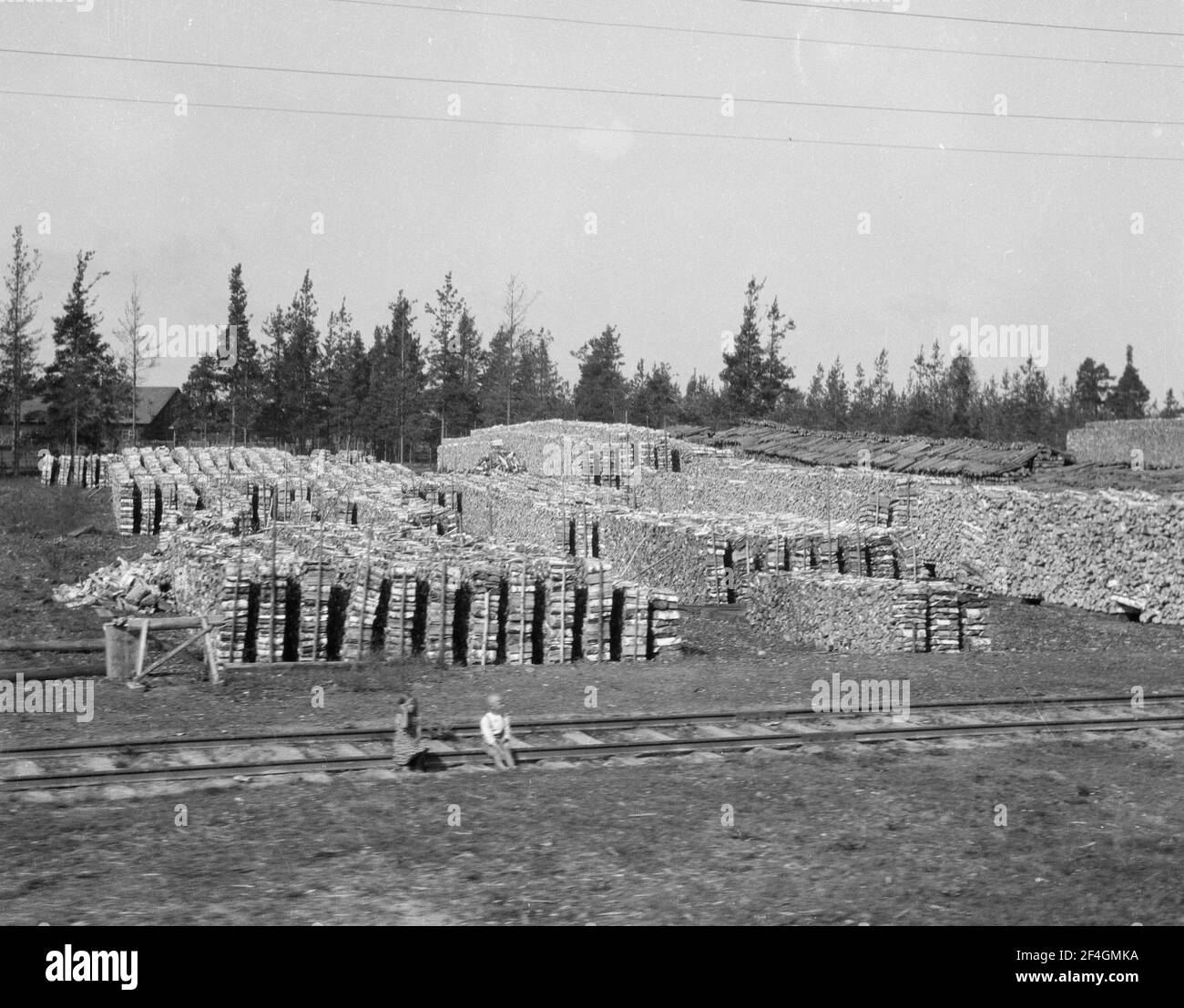 Railroad track, Russia,1931. From the Sidney D. Gamble photographs ...
