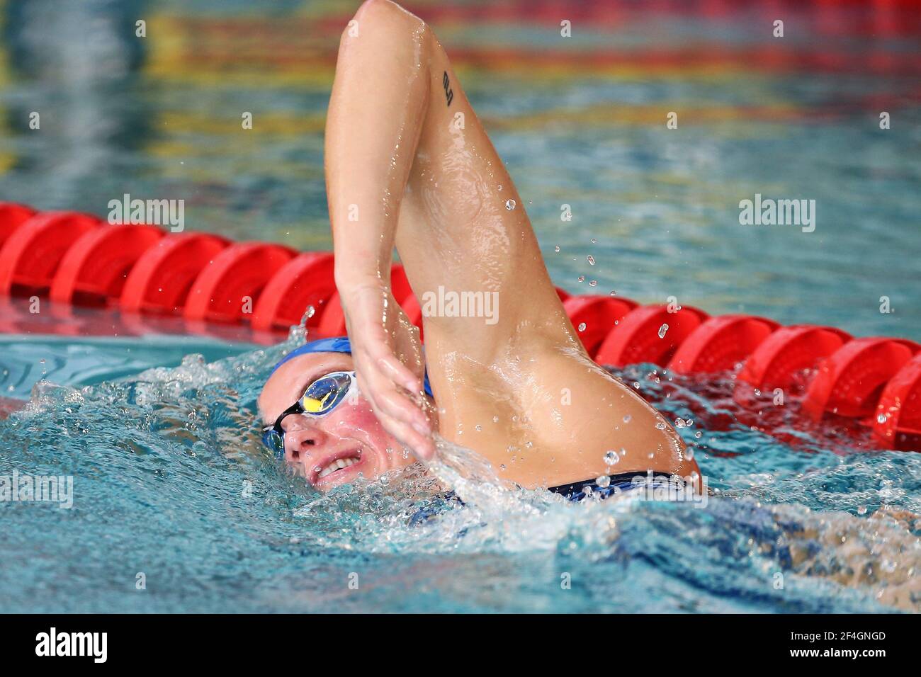 Charlotte Bonnet of Olympic Nice Natation during the FFN Golden Tour ...