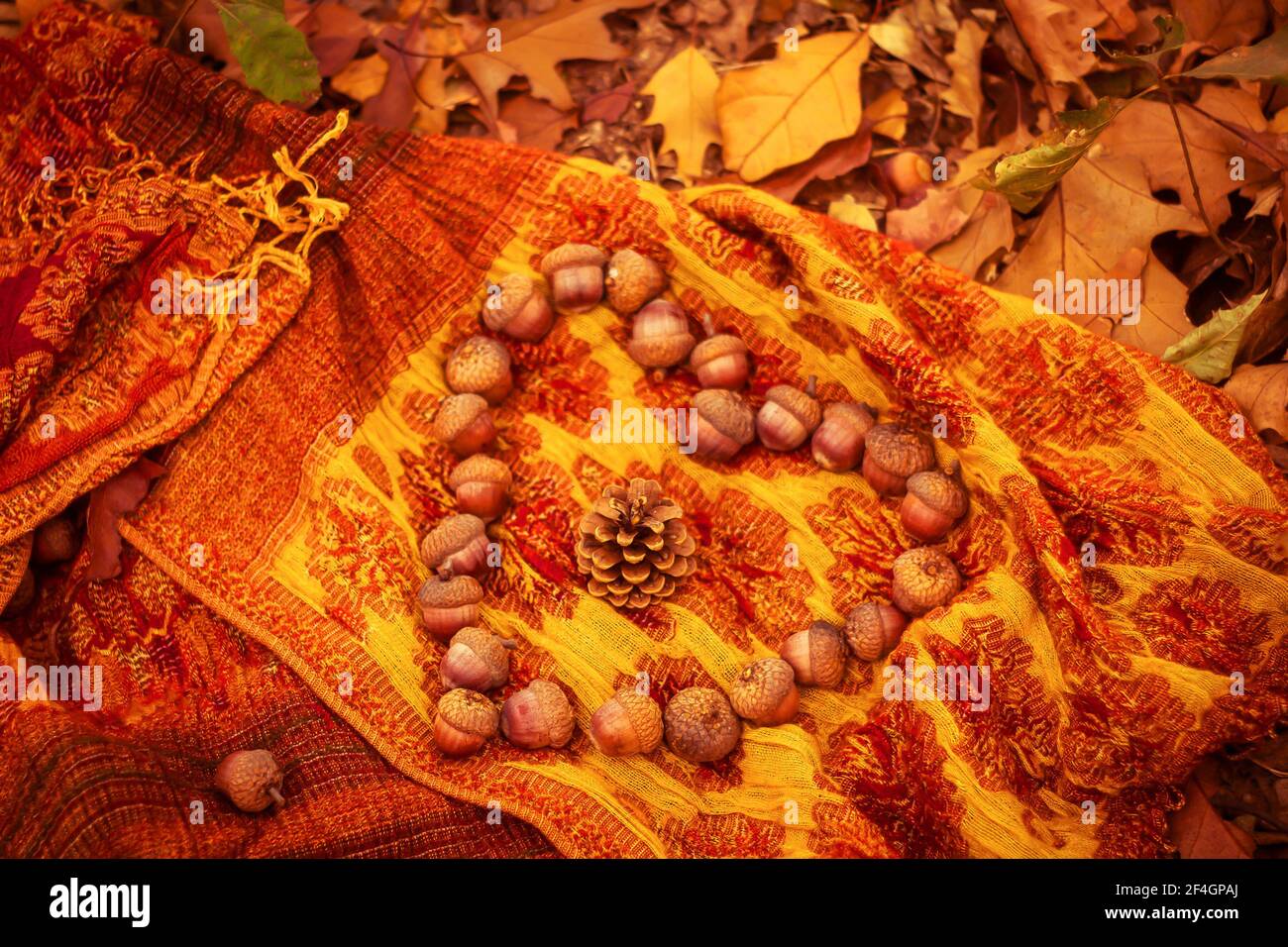 autumn background with acorn heart Stock Photo - Alamy