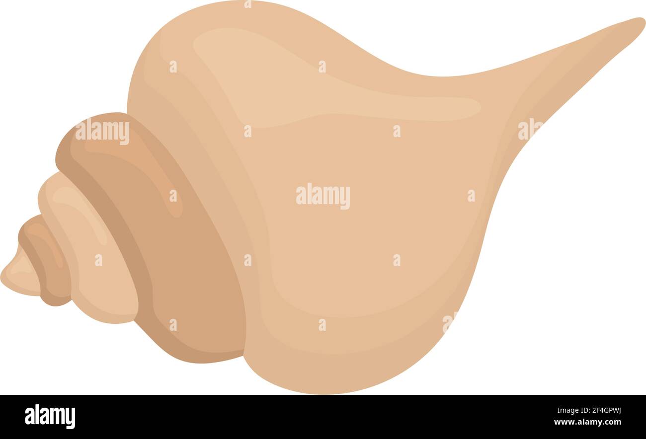 Brown seashell Stock Vector Images - Alamy