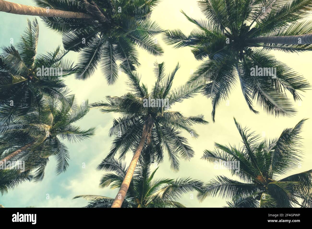 Backgrounds For Tumblr Beach