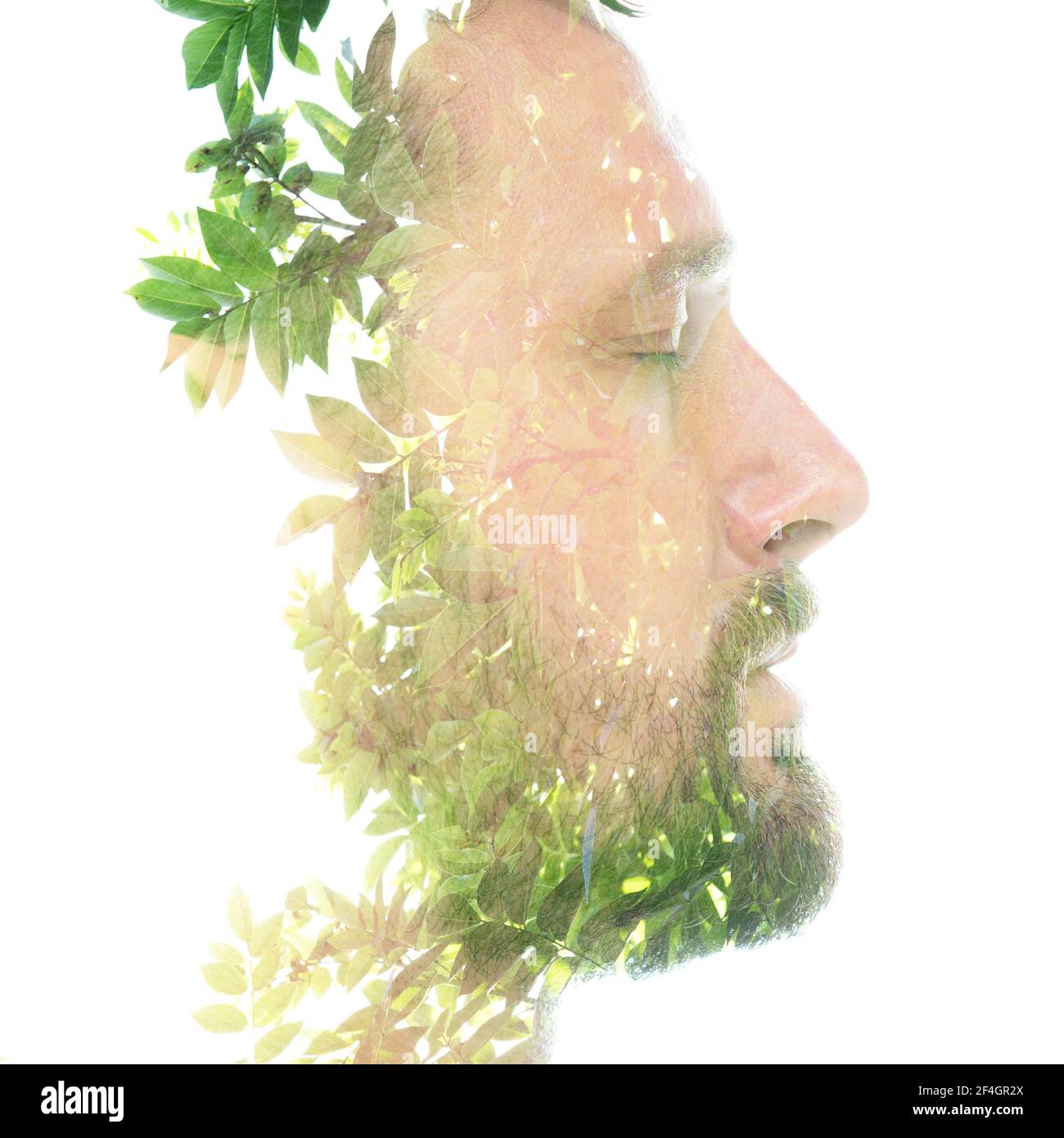 Translucent face hi-res stock photography and images - Alamy