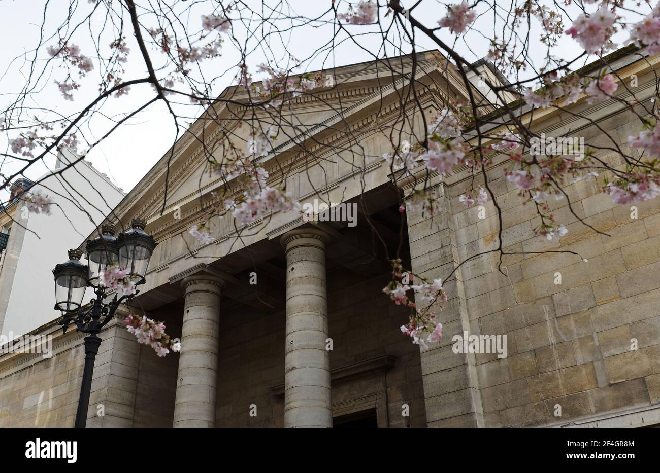 Tree branch columns hi-res stock photography and images - Alamy